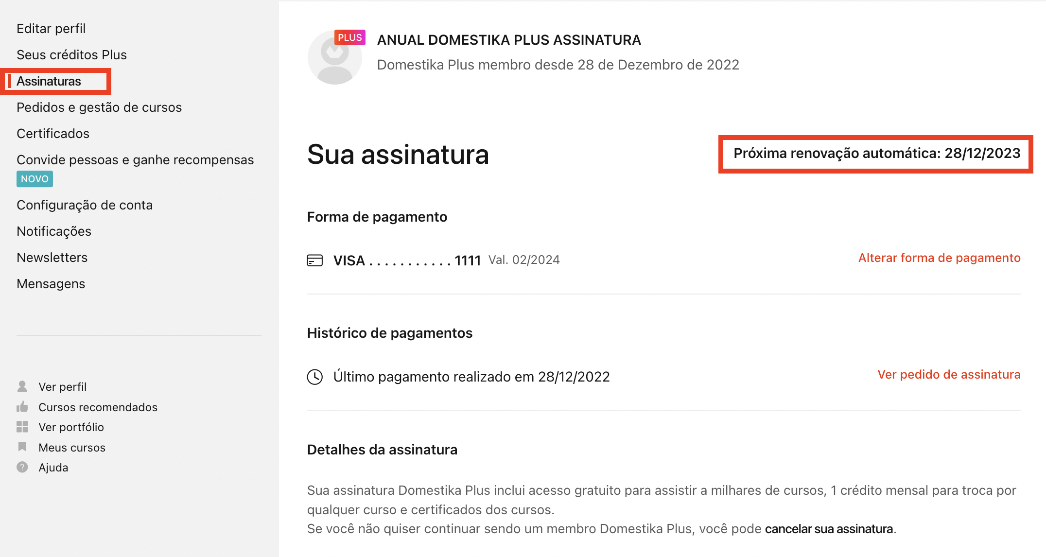 Como posso renovar Domestika Plus? – Domestika