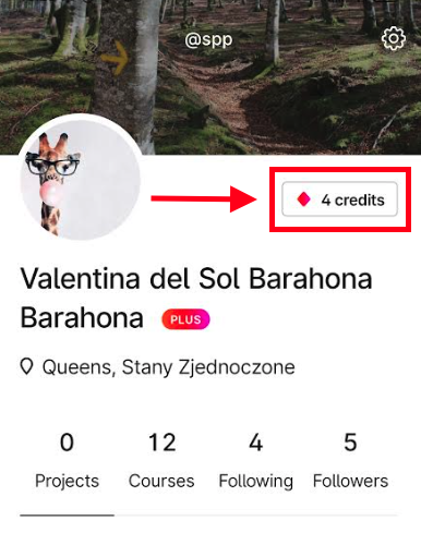 How do I use my Plus credits? – Domestika